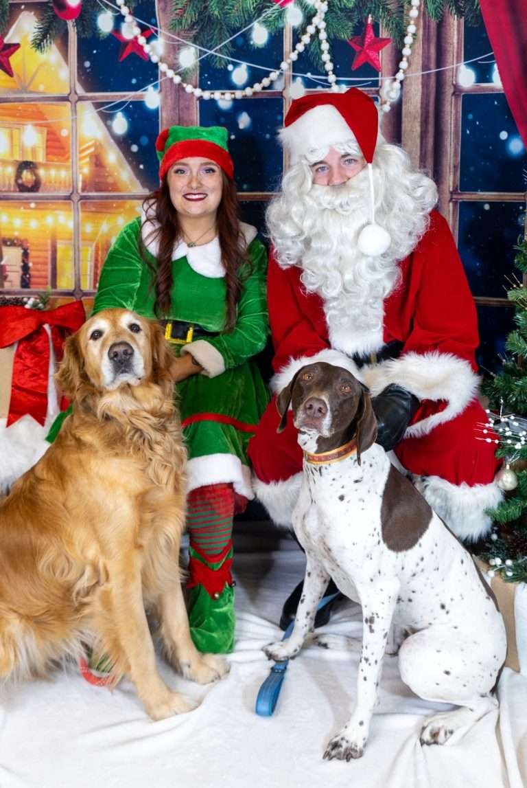 Lost DogS in Benton (Saline County) - Bailey and Boomer • Arkansas Lost ...